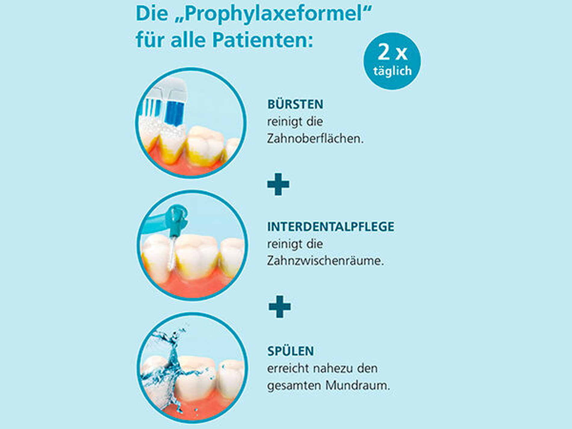 Regelmäßige orale Prophylaxe beugt Mund- und Zahnerkranungen vor - zm ...