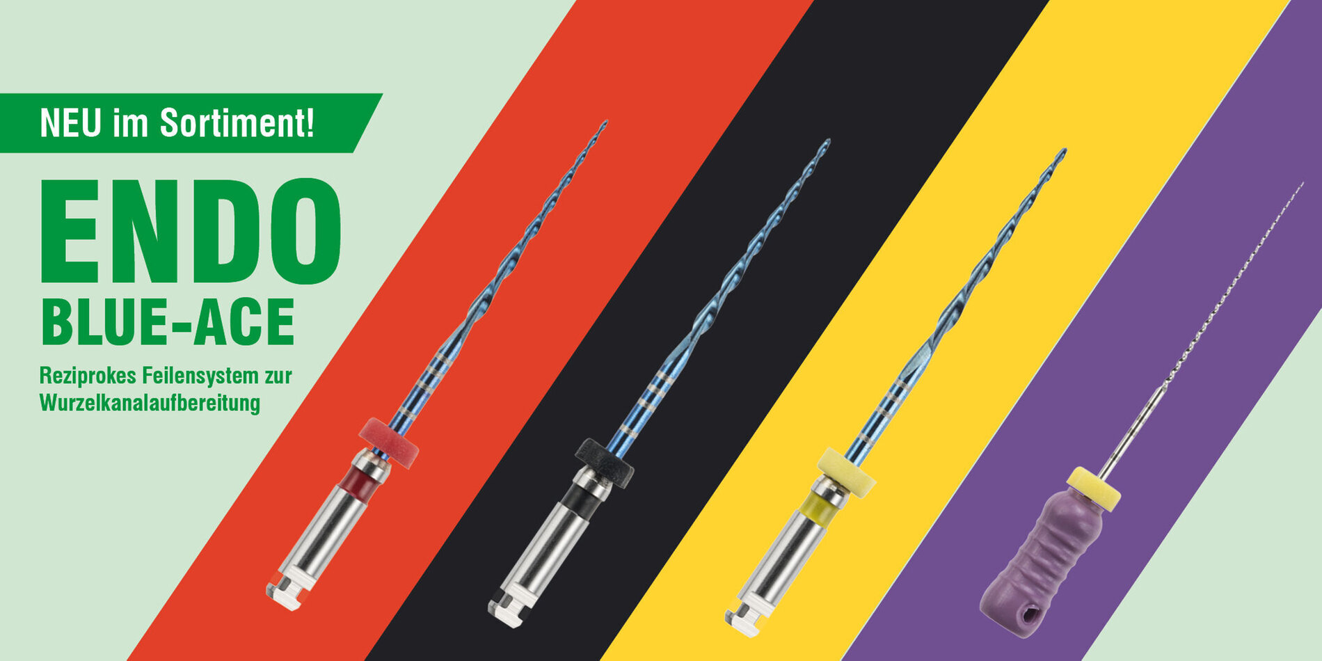 Endo Blue-Ace - zm-online