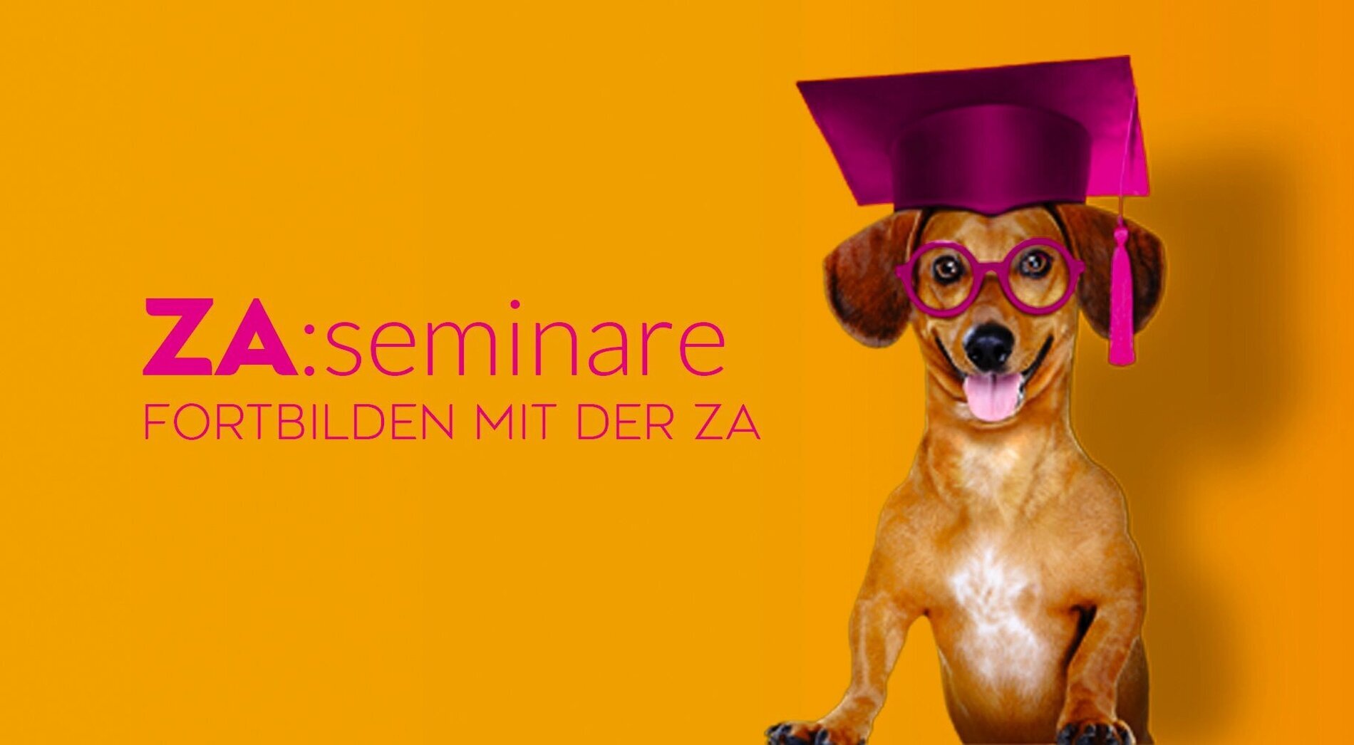 Neue Online-Seminare der ZA - zm-online
