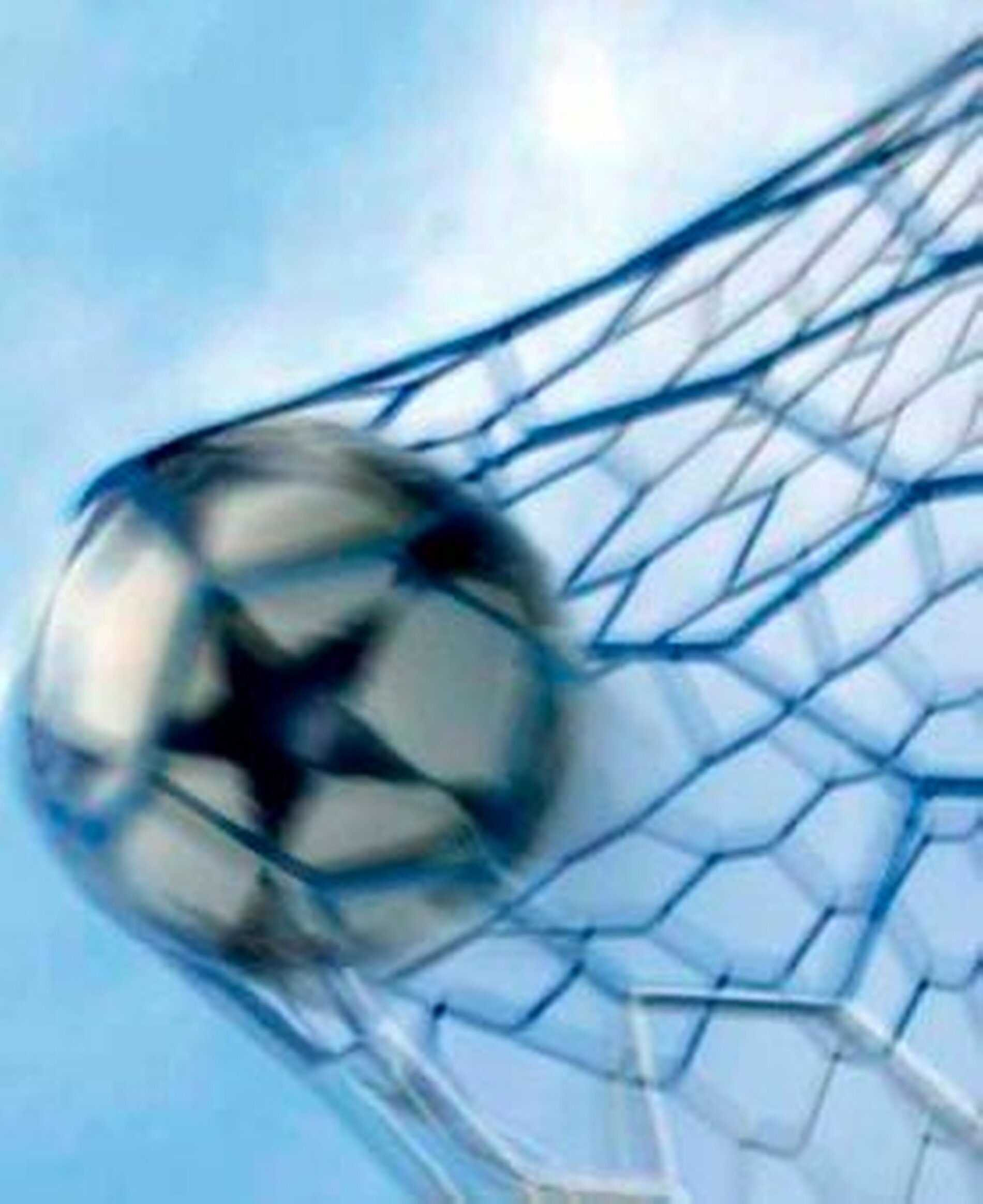 Optimismus ist Feigheit - zm-online