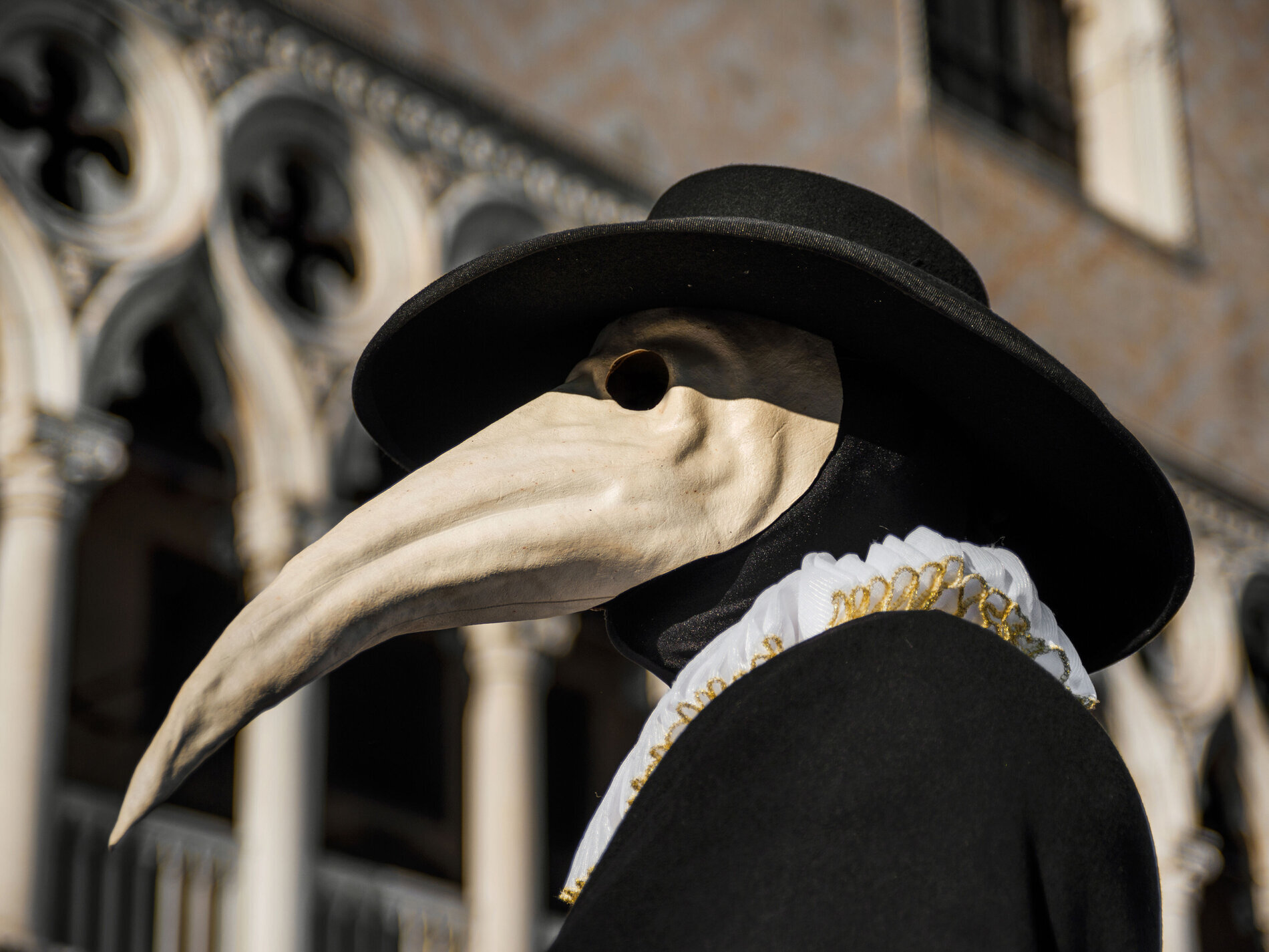 Ursprung des Schwarzen Todes identifiziert - zm-online