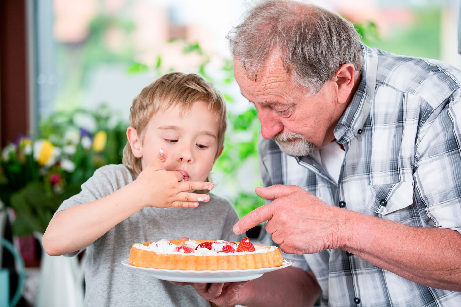 Sollen sie doch Kuchen essen! - zm-online