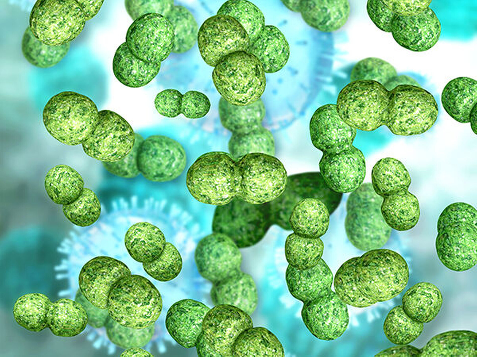 Forschende finden mit Bioinformatik antibiotische Wirkstoffe - zm-online Forschende finden mit Bioinformatik antibiotische Wirkstoffe - zm-online
