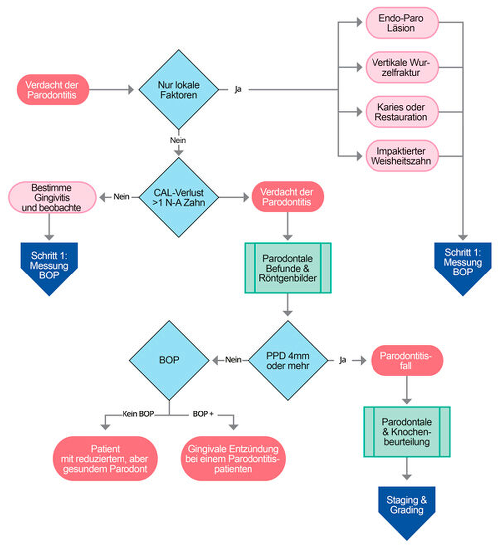 Neue Klassifikation parodontaler und peri-implantärer Erkrankungen und ...